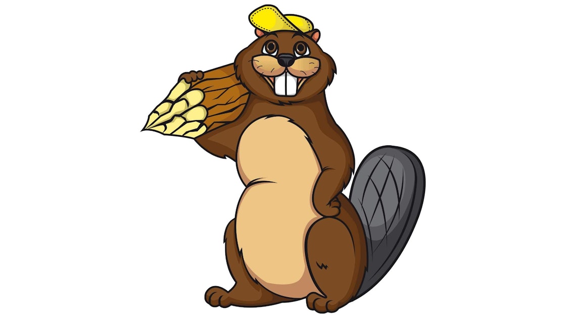 Castorus : l'extension pour trouver de bonnes affaires immo 🤑