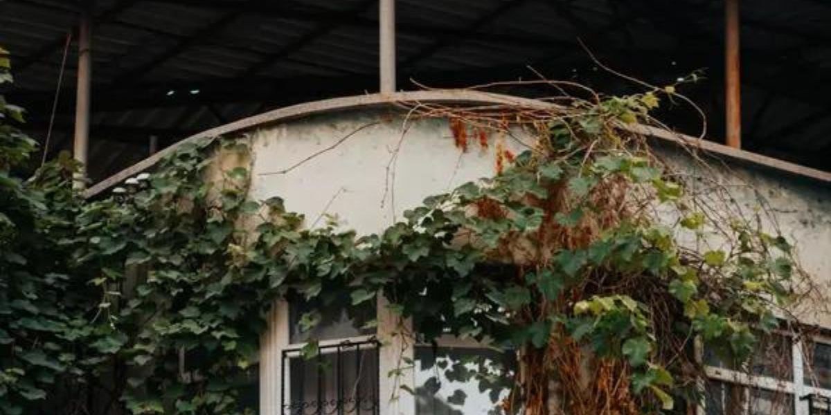 Toiture amiante : Que faire ? Tout ce qu'il faut savoir 😉